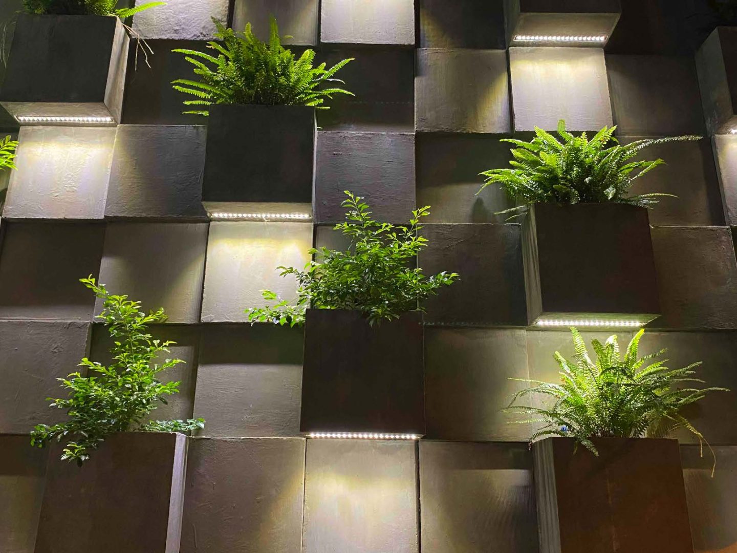 Prof. Nuno Soares wins Pionner Award for Green Architecture in Japan ...