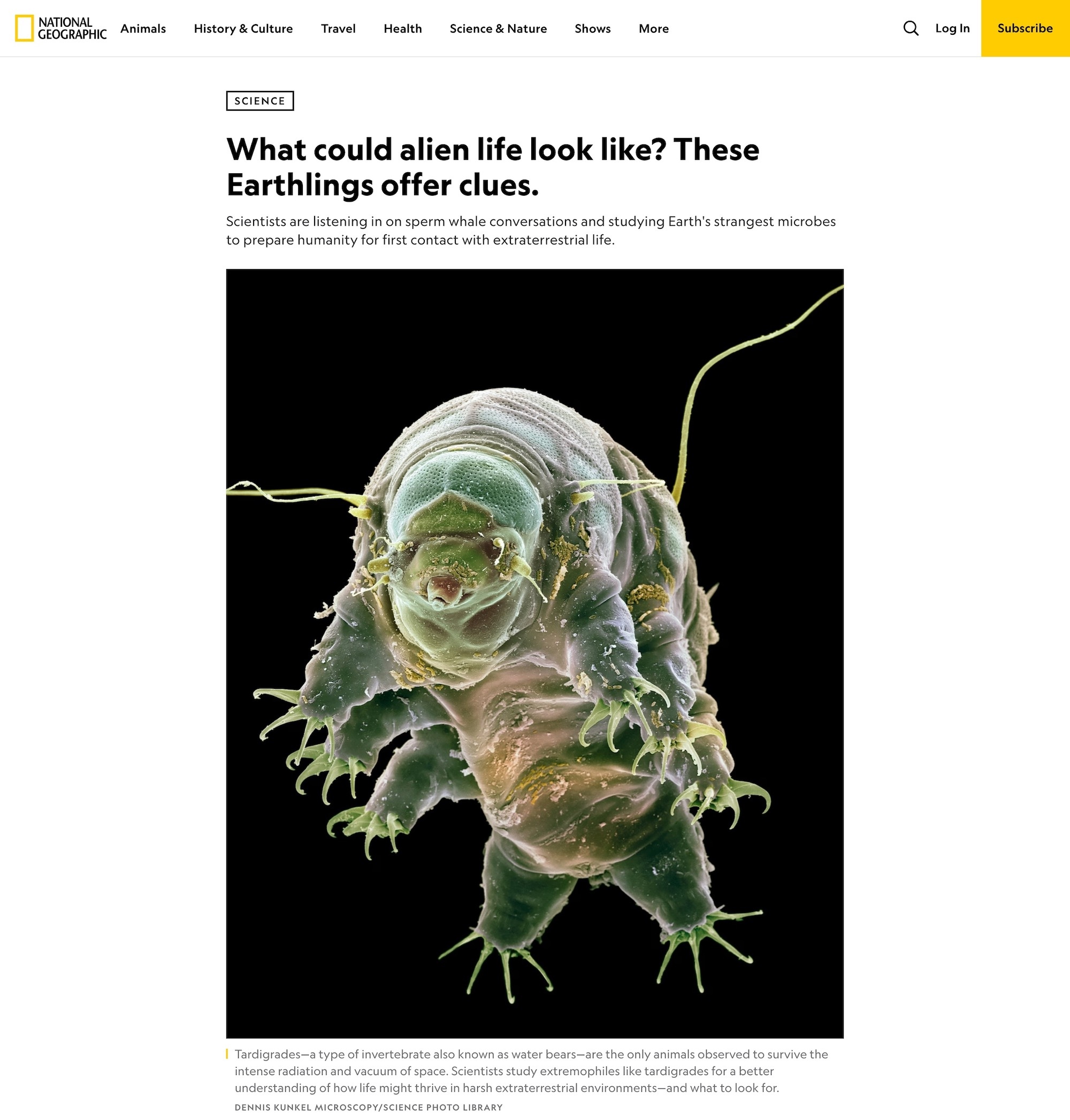 USJ Associate Research Professor André Antunes Featured in National ...